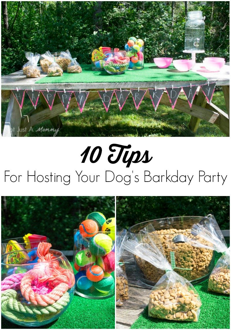 10 Tips For Hosting Your Dog's Barkday Party - Revel and Glitter
